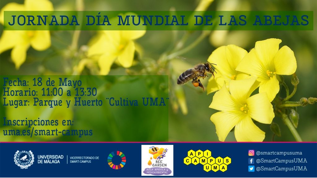 Actividad por el Día Mundial de las Abejas en la Universidad de Málaga ...